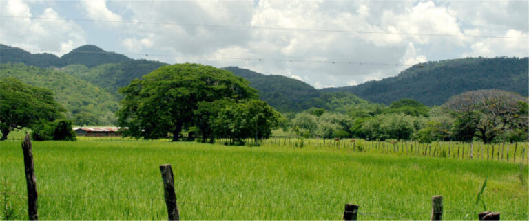 Involuntary Hospitalization and Treatment of Involuntary Patients - EZ ...