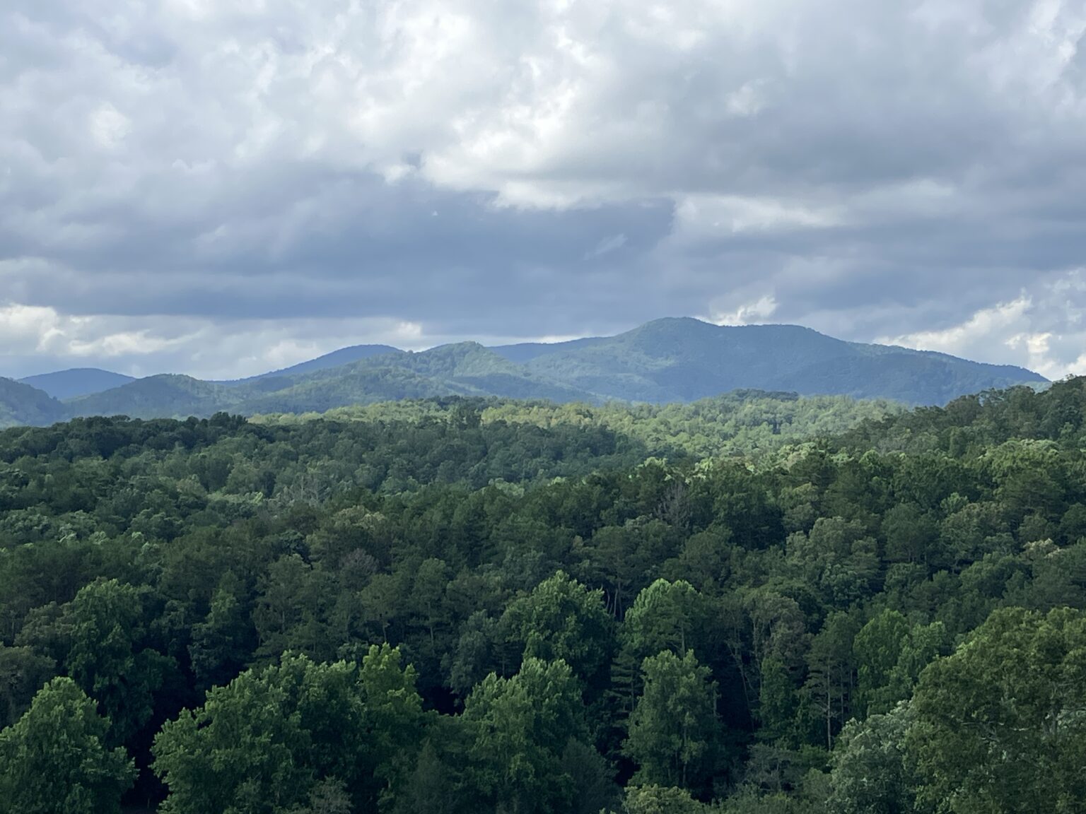 Georgia Medicaid Waiver Programs - EZ Elder Law